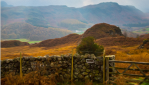 9 Fun Classes To Take In College - Take Your Success